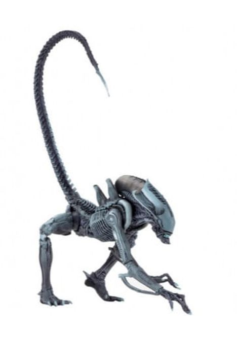 Figura Arachnoid Alien - Alien vs Predator - 7? Scale Action Figure ...